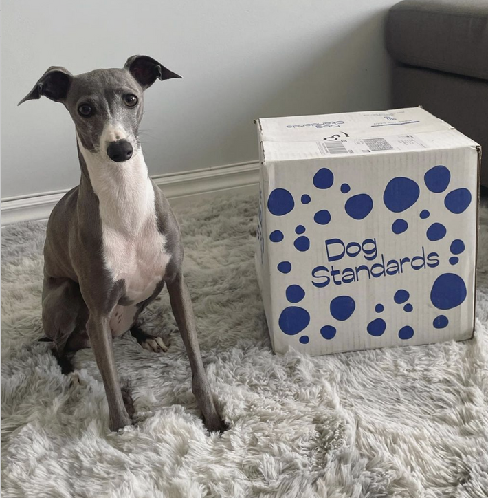 Fresh Dog Food Delivery - Dog Standards Human-Grade Dog Food